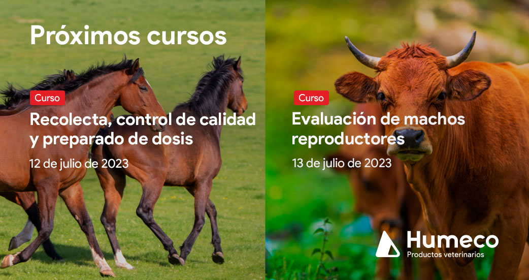 No te pierdas los dos próximos cursos de reproducción animal que hemos ...